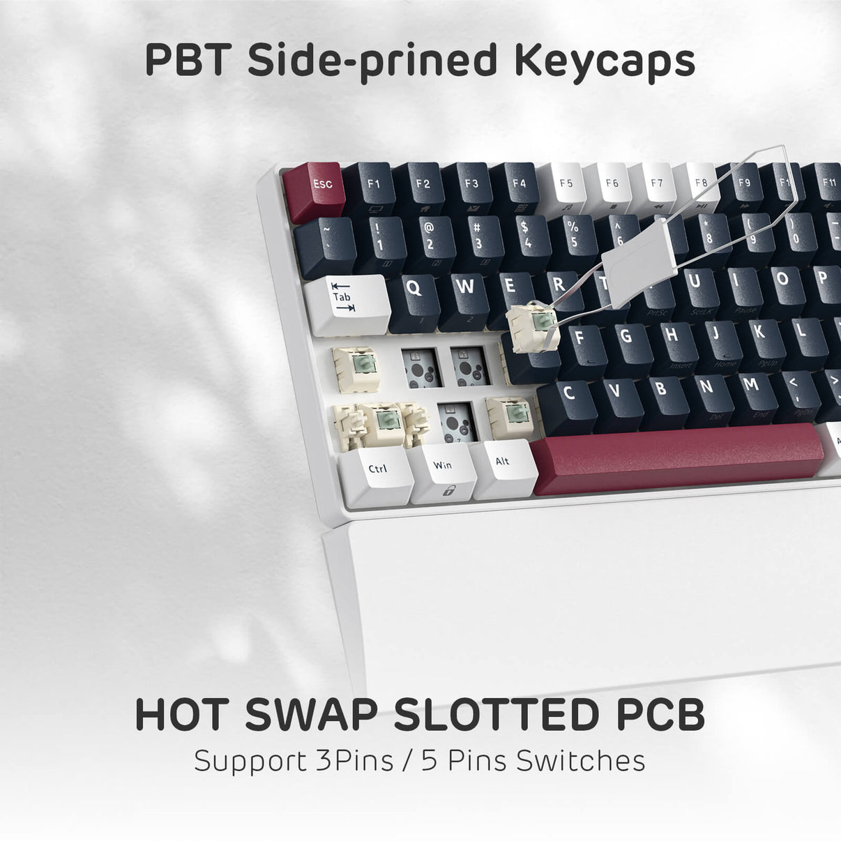 RK ROYAL KLUDGE RK96 Wireless Hot-Swappable RGB Keyboard – RK Royal Kludge