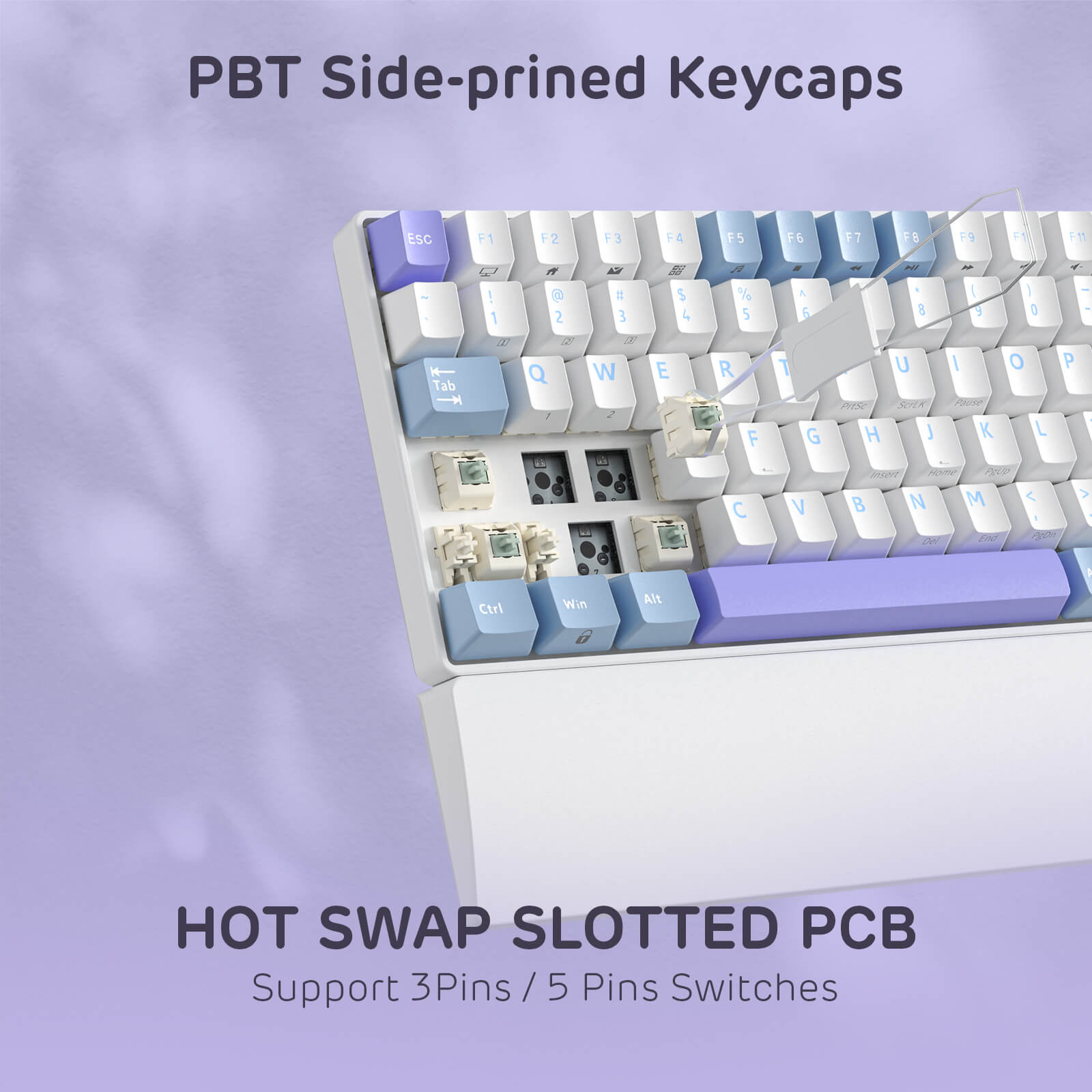 RK ROYAL KLUDGE RK96 Wireless Hot-Swappable RGB Keyboard – RKgaming