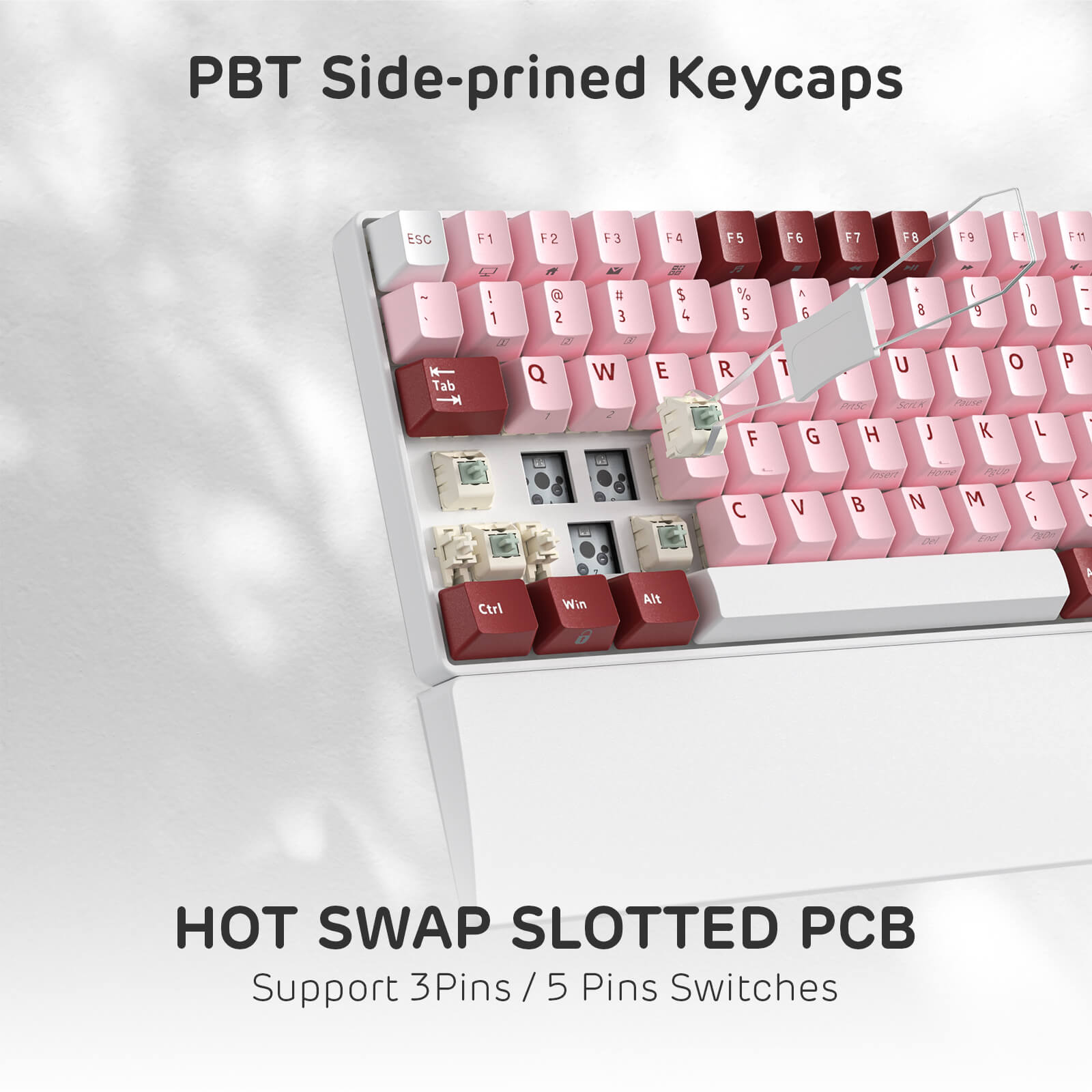 RK ROYAL KLUDGE RK96 Wireless Hot-Swappable RGB Keyboard – RKgaming