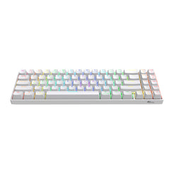 ROYAL KLUDGE RK71 71 Keys Wireless 70% RGB Mechanical Gaming Keyboard ...