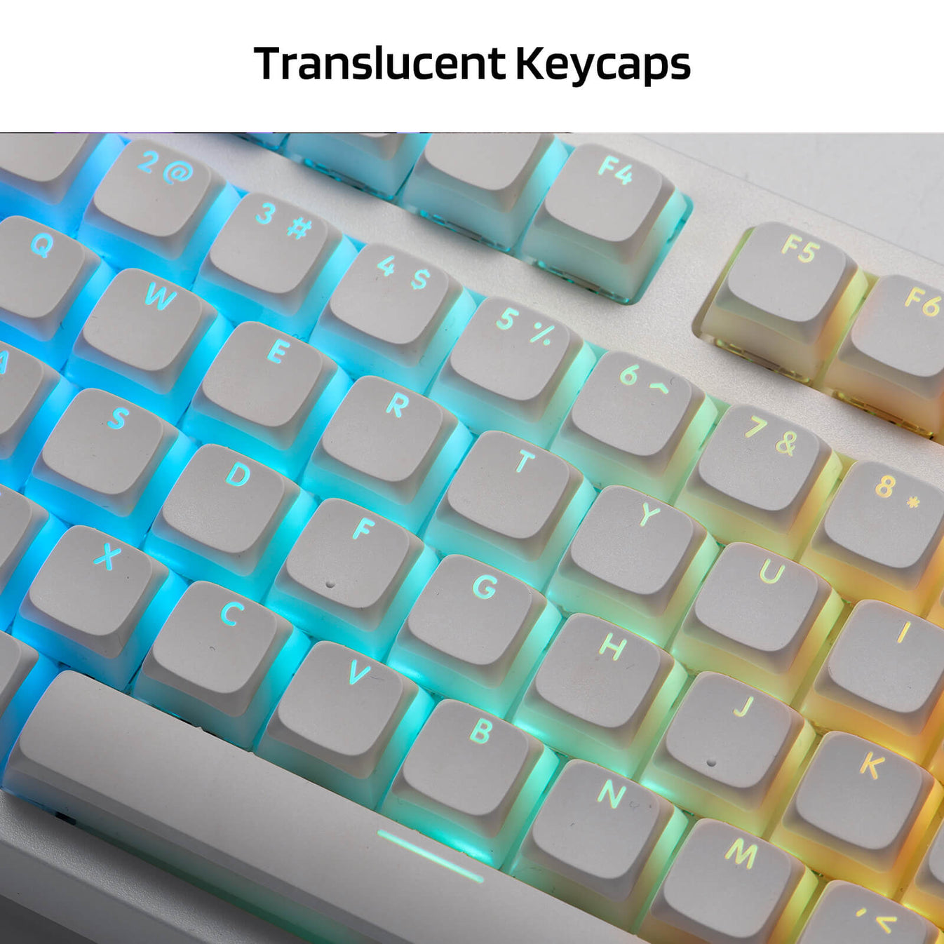 PBT Double Shot 117-Key Pudding Keycaps Set | Translucent XDA Profile ...