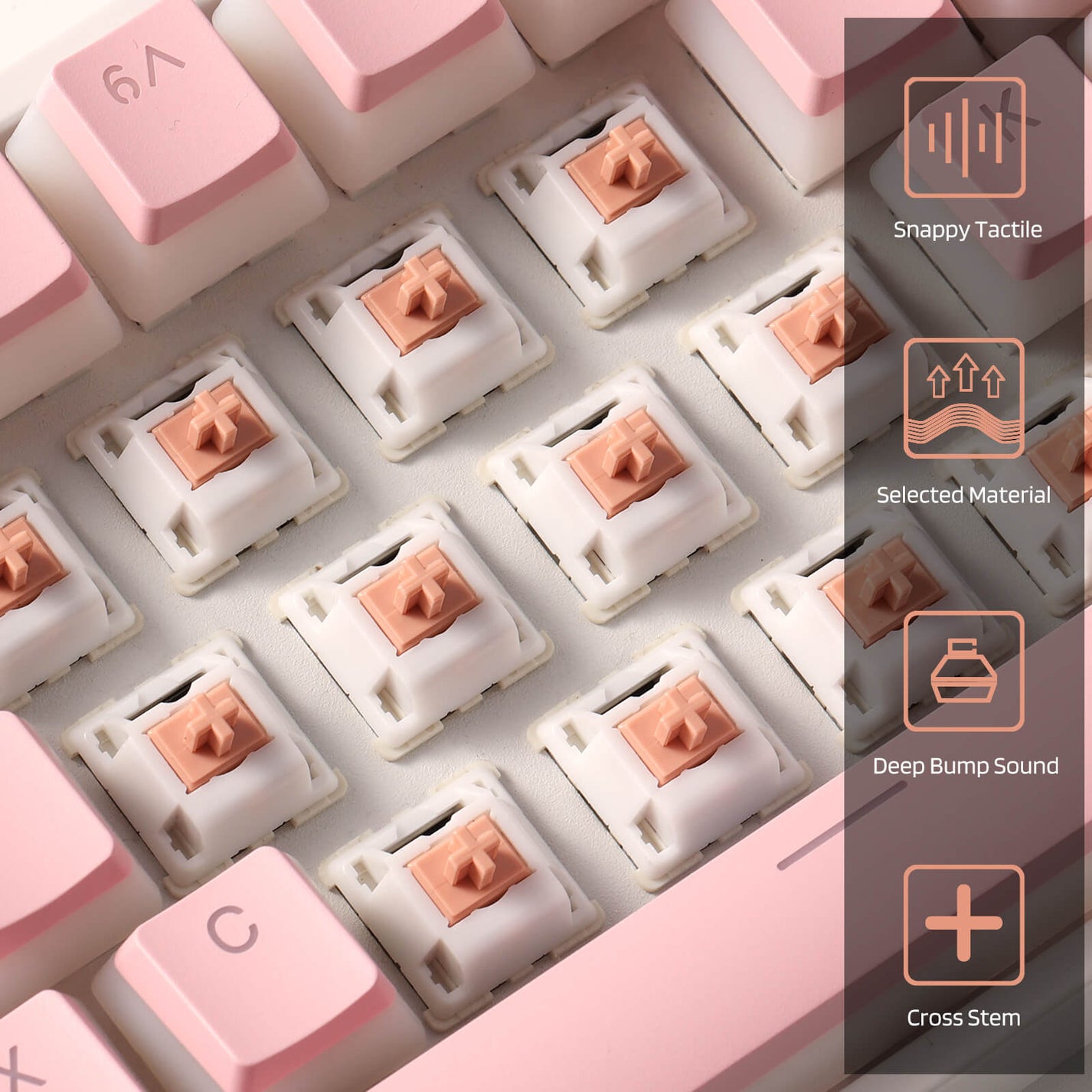 Panda Switches for Mechanical Keyboard DIY | Holy Panda Switch Feeling ...