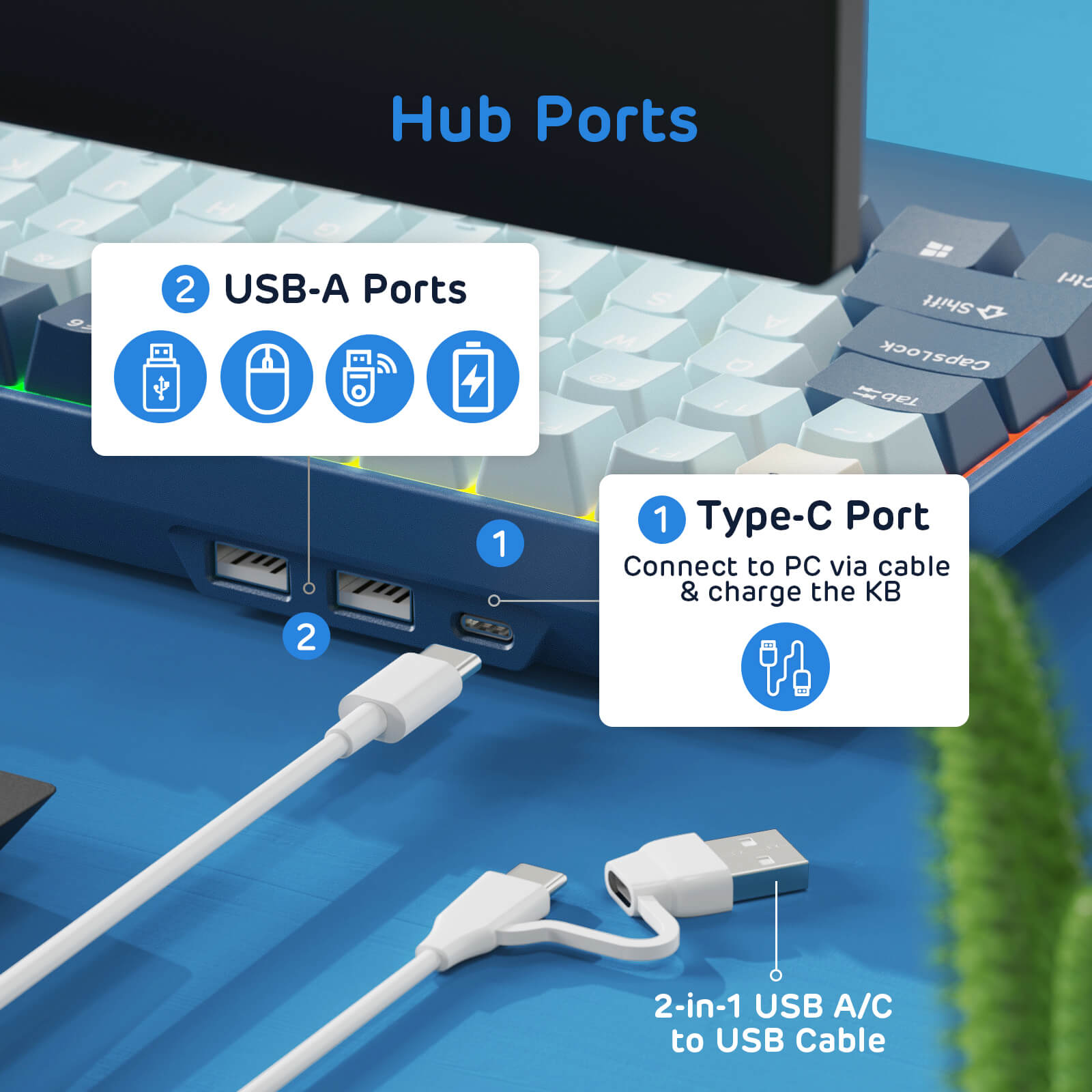 RK ROYAL KLUDGE RK96 Wireless Hot-Swappable RGB Keyboard, Forest Blue ...